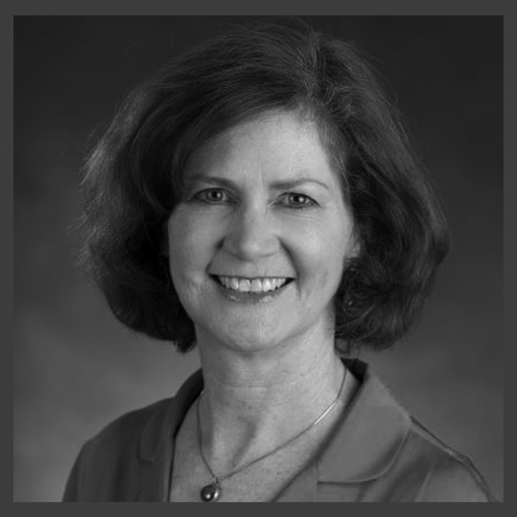 ‘There Are Very Few Democracies That Are as Polarized as We Are Today’: A Conversation with ...